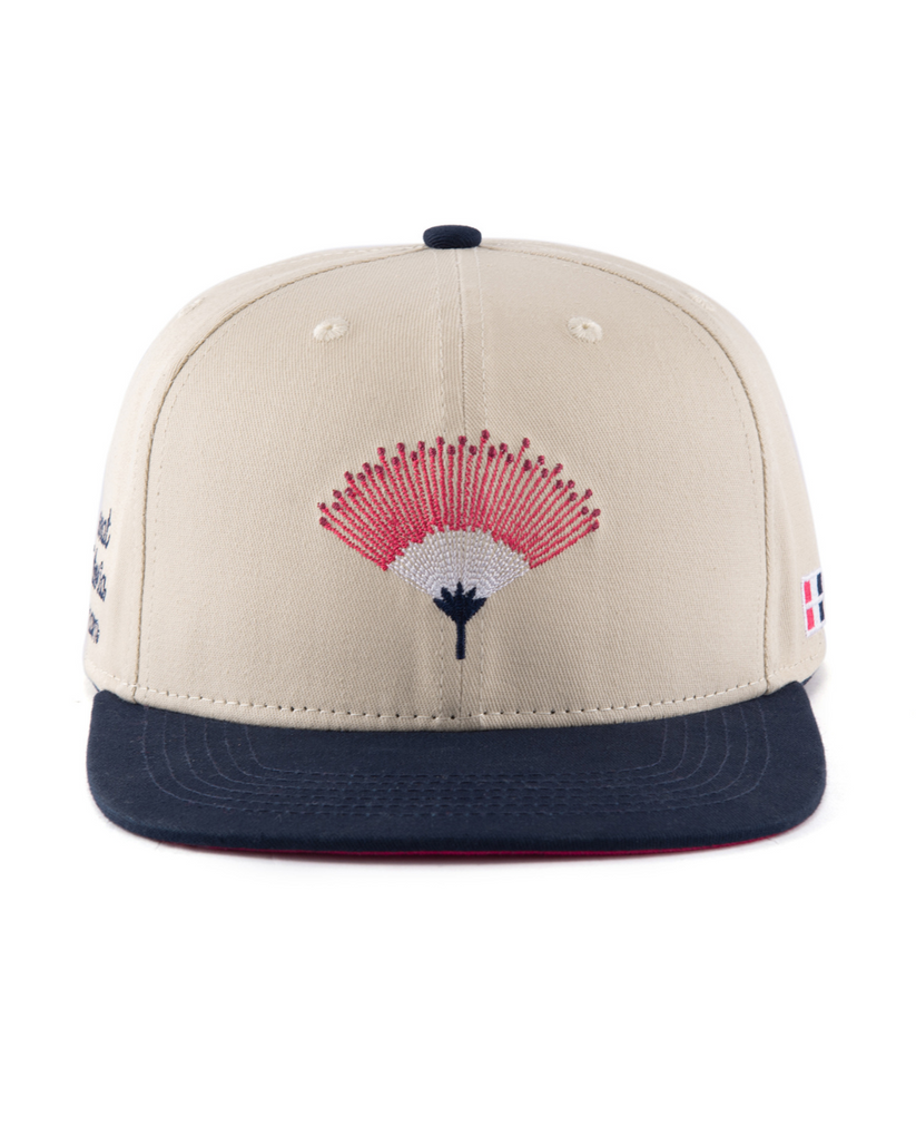 Victorie Vaagai Cap – EIDOS Collaborative